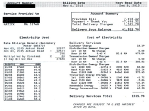 How to Read My Electric Bill - Energy Professionals | Leading Energy ...